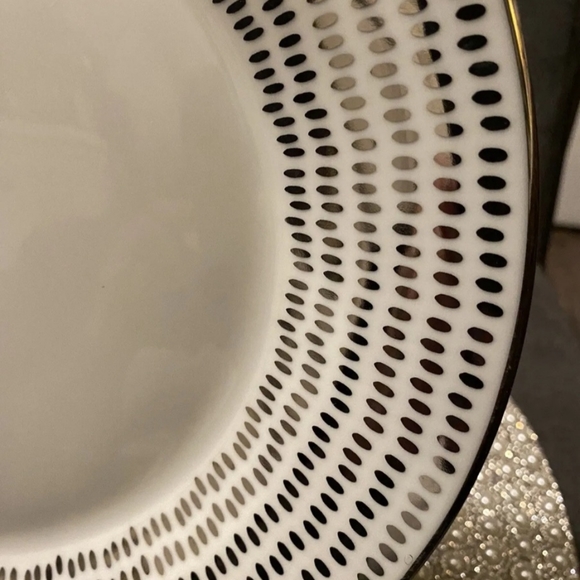Ciroa | Dining | Ciroa Luxe Porcelain Platinum Dots Rim Dinner Plates ...